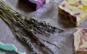 Gower Lavender | Welcome To Lavender Heaven